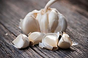 How to Get Rid of Skin Tags with Garlic – Skintagsgone.com